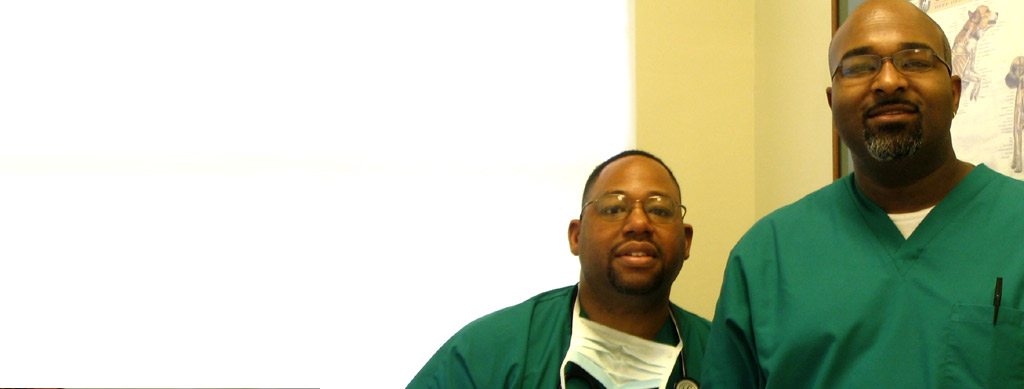 When you need Small Animal Surgeons, look to MASH! - Mid-Atlantic ...